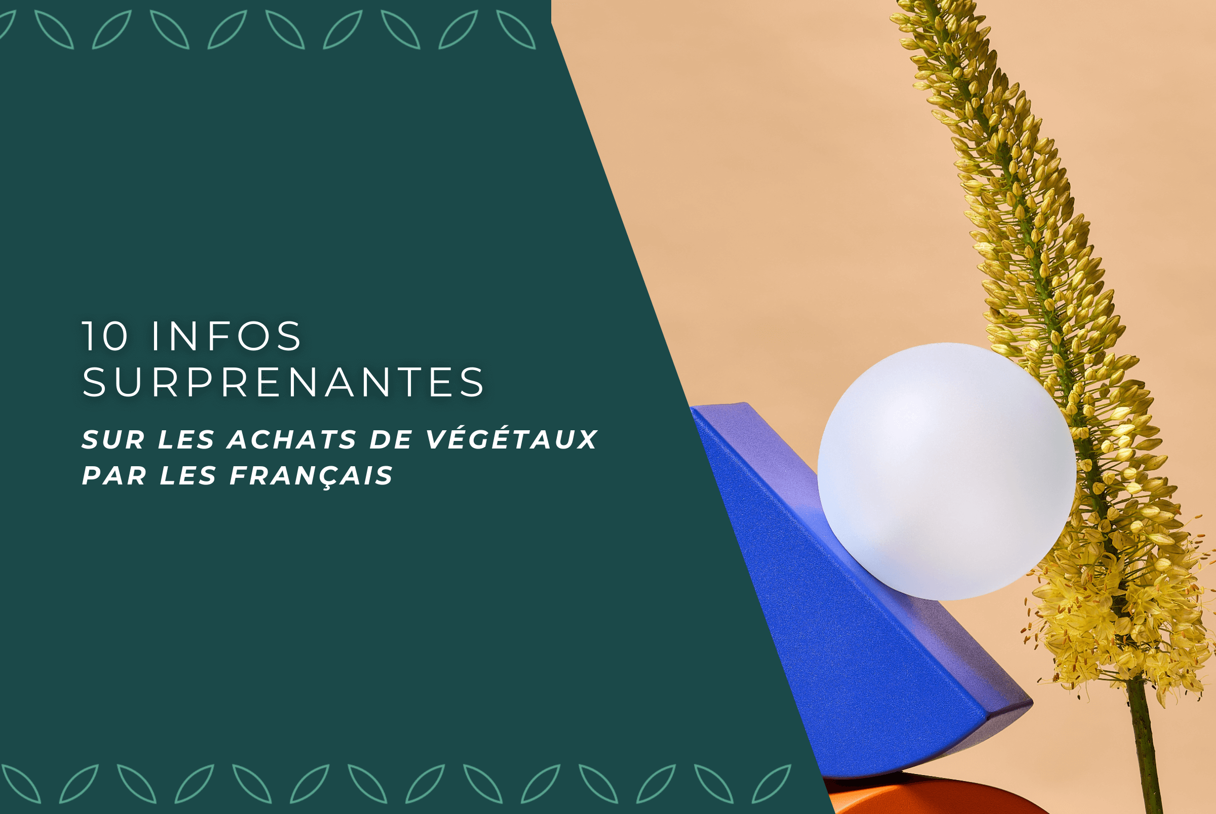 10 Infos surprenantes sur les achats de végétaux par les Français ...